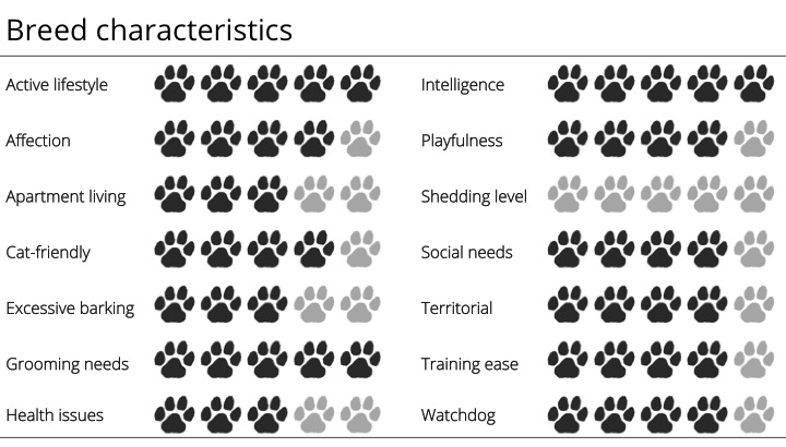 Meet the breed: Poodle