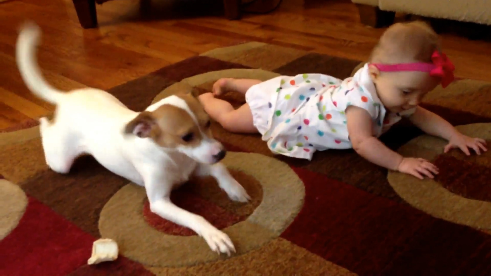 Rough day? Here are dogs teaching babies to crawl