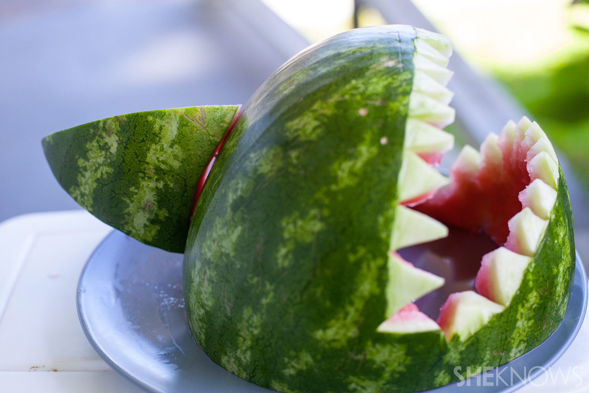 Animal Food Art Watermelon Shark