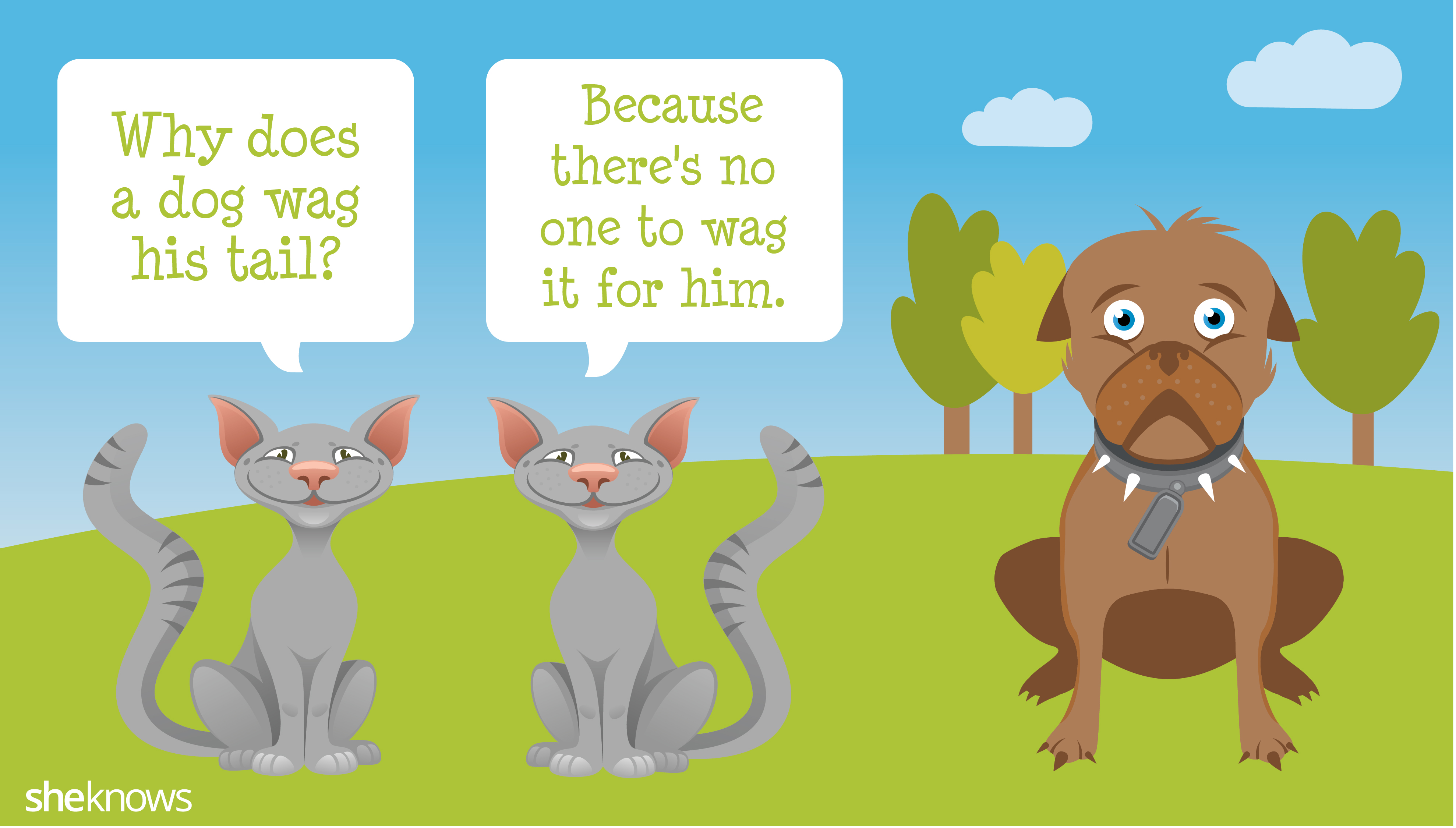 11 Animal jokes that will tickle your punny bone