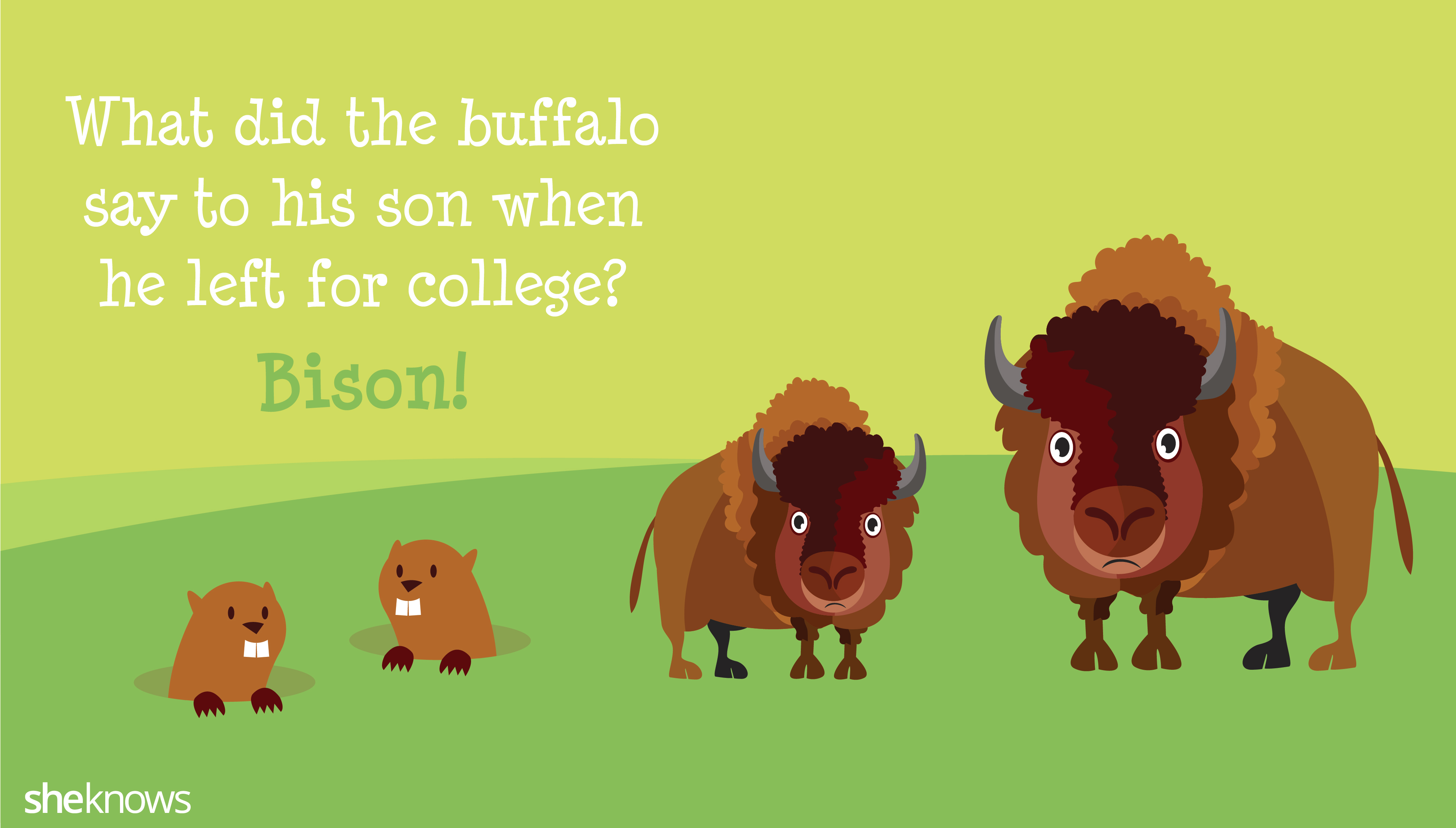 11 Animal jokes that will tickle your punny bone